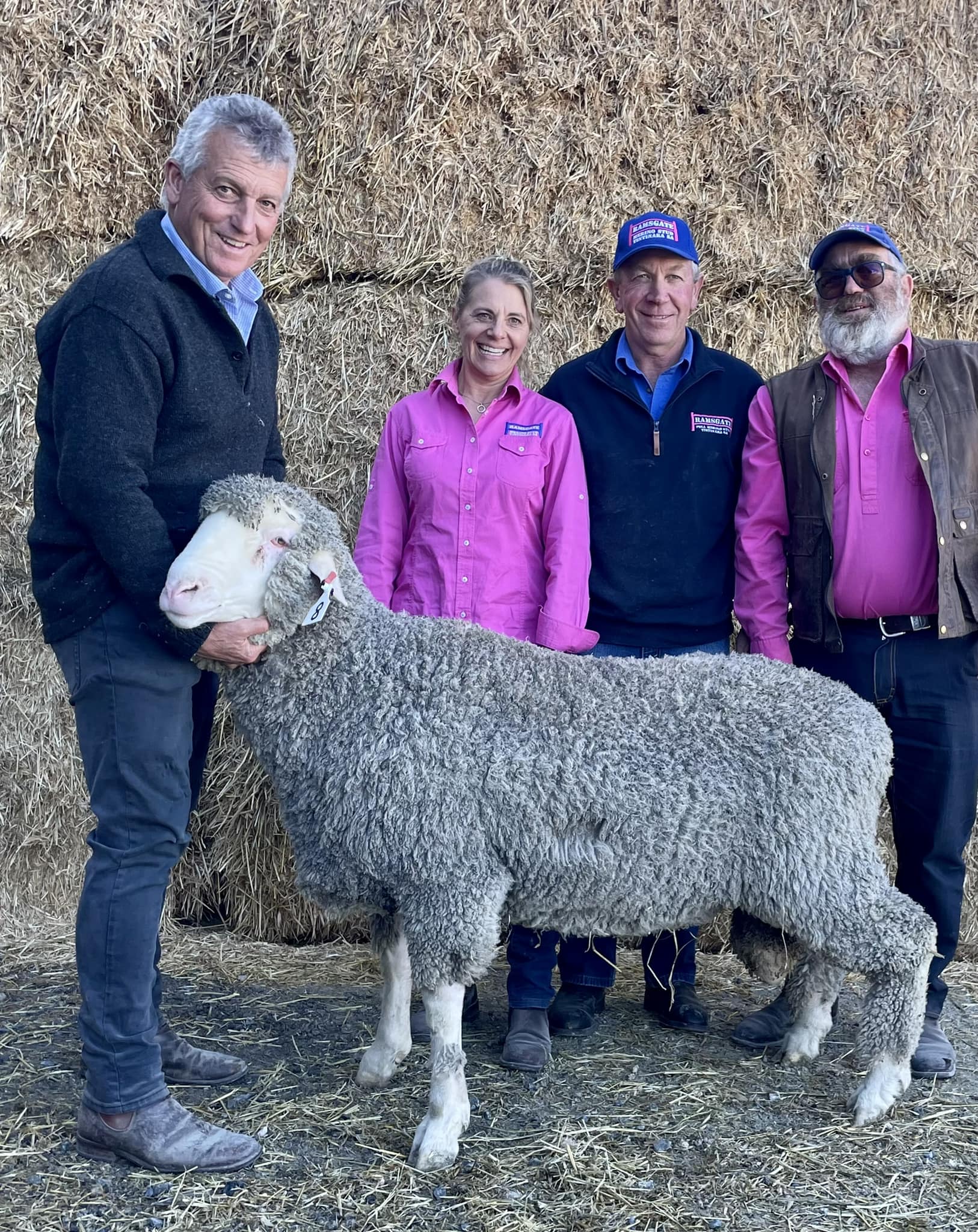 Merino Ram Sale | Ramsgate On-Property Auction in August